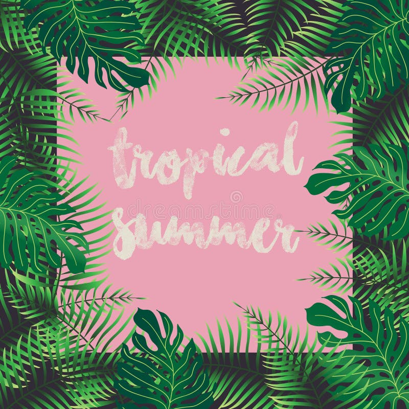 Tropical Summer - Vector Background Stock Vector - Illustration of card ...