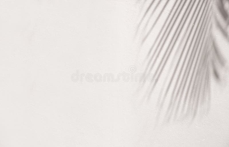 Tropical Sun Shadows on the Wall. Stock Image - Image of black, pastel ...