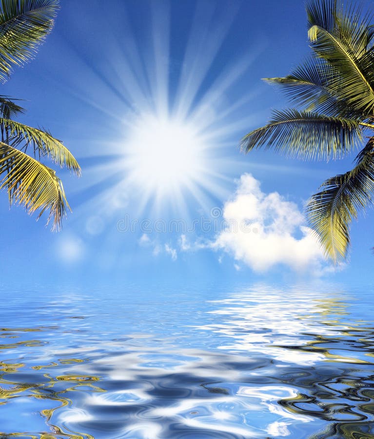 Tropical sun stock illustration. Illustration of outdoor - 90880314