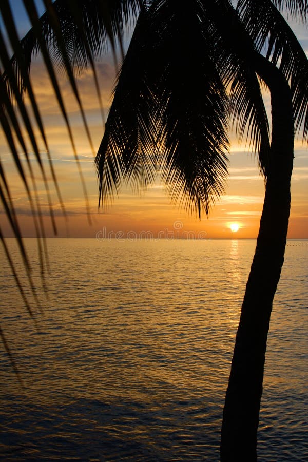 Tropical Sundown stock image. Image of tropics, water - 4168721
