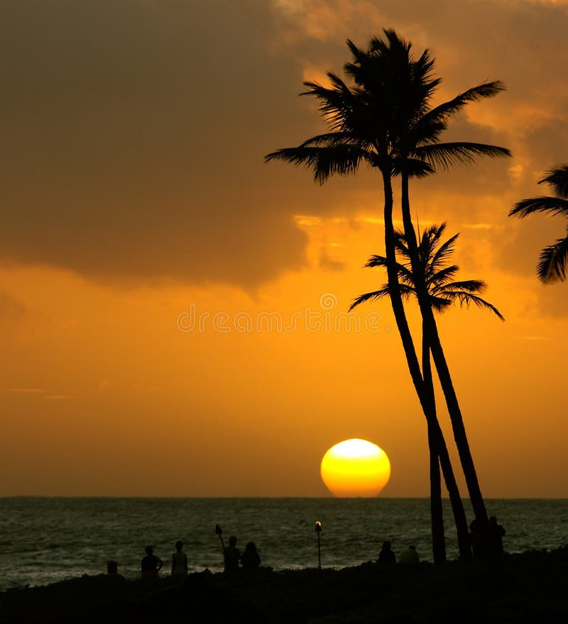 Tropical sunset stock photo. Image of beach, tree, hawaii - 1134954