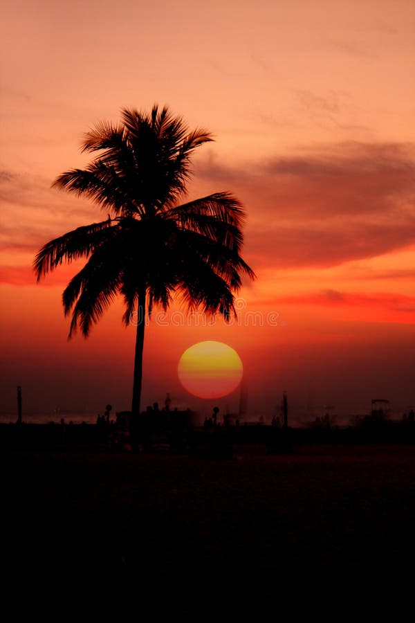 Tropical Sunset stock photo. Image of colours, scene, seashore - 8331218