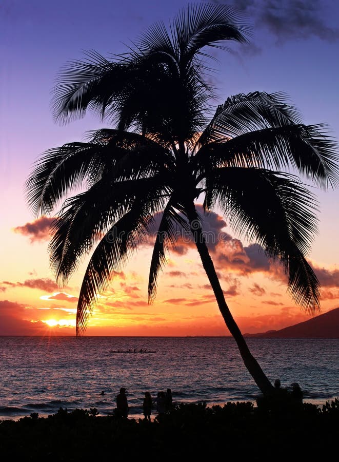 Sunset Free Stock Photos & Pictures, Sunset Royalty-Free and Public ...