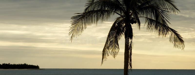 Tropical sunset stock photo. Image of bridge, relax, backlight - 8955448