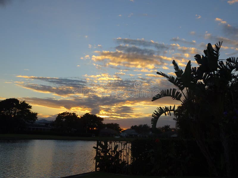 Tropical Sunset in a Backyard with Trees and Water Stock Image - Image ...