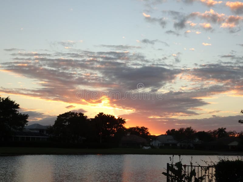 Tropical Sunset in a Backyard with Trees and Water Stock Photo - Image ...