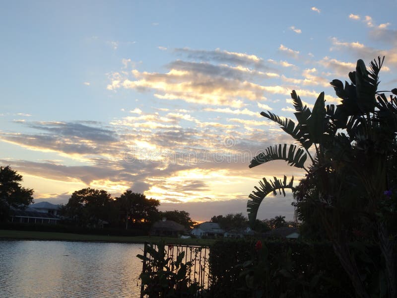 Tropical Sunset in a Backyard with Trees and Water Stock Image - Image ...