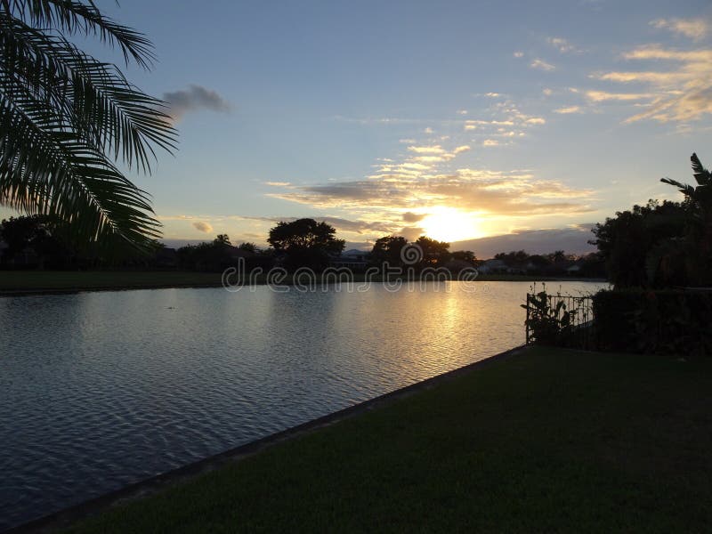 Tropical Sunset in a Backyard with Trees and Water Stock Image - Image ...