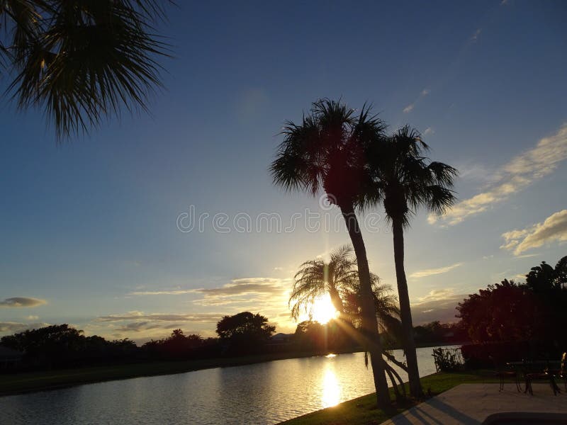 Tropical Sunset in a Backyard with Trees and Water Stock Photo - Image ...