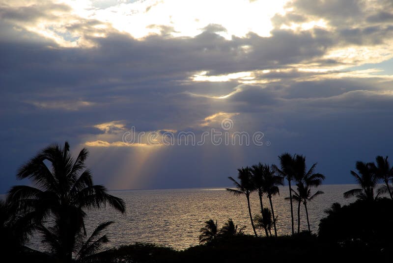 Tropical sunset in Hawaii stock image. Image of tropical - 36590231