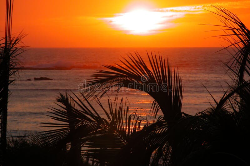 Tropical sunset over ocean stock image. Image of water - 165523