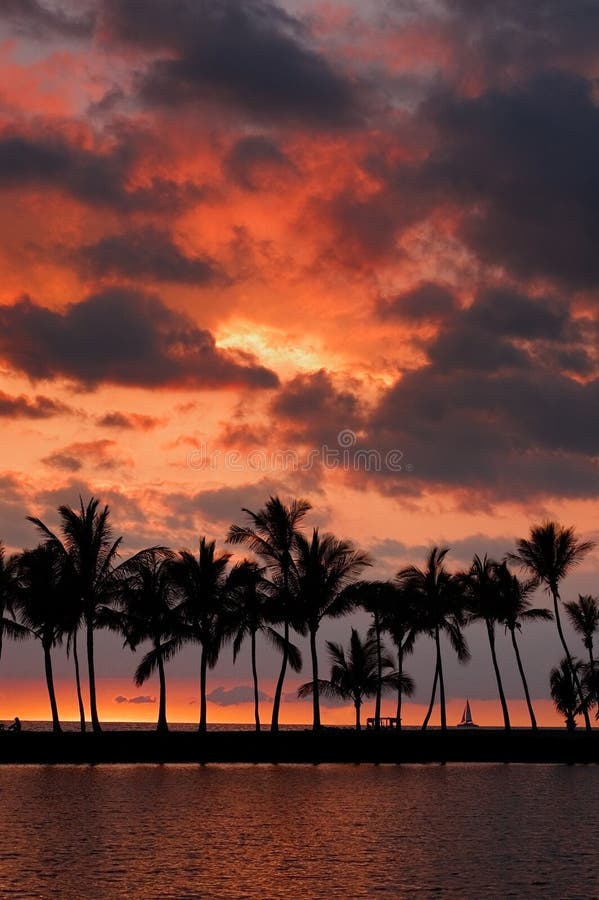 Tropical sunset picture stock photo. Image of water, evening - 1233750