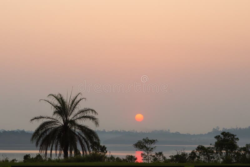 Tropical Sunset in SÃ£o Paulo, Brazil Stock Photo - Image of brazil ...