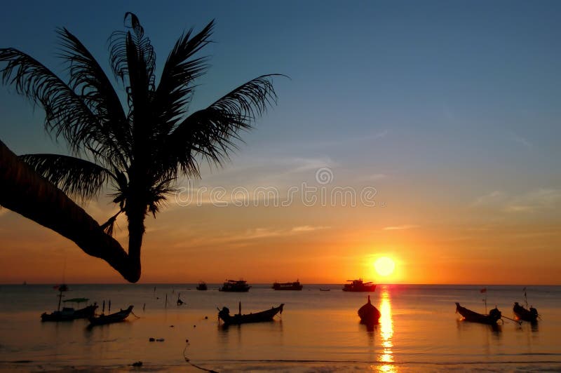 Sunset on Tropical Beach,Thailand Stock Photo - Image of coast, island ...