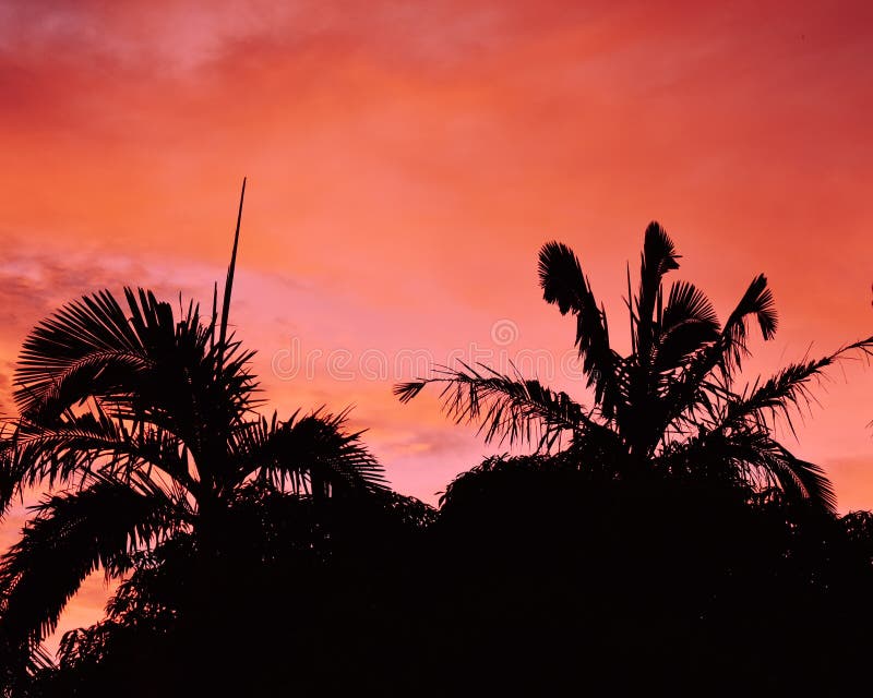 Tropical Sunset View Panoramic Stock Image - Image of sunset ...