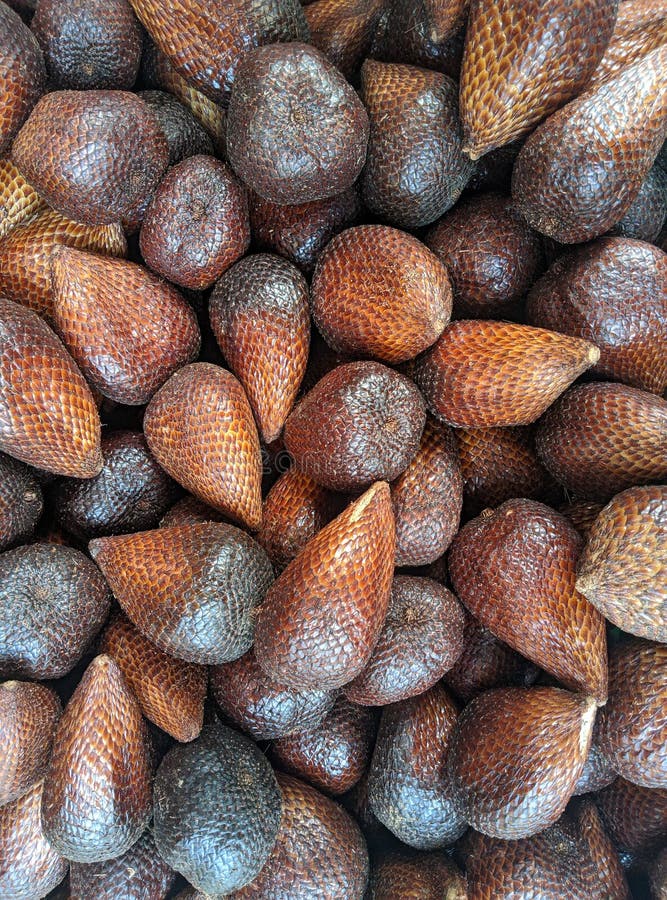 Tropical Sweet Salak Pondoh from Indonesia. Stock Image - Image of ...