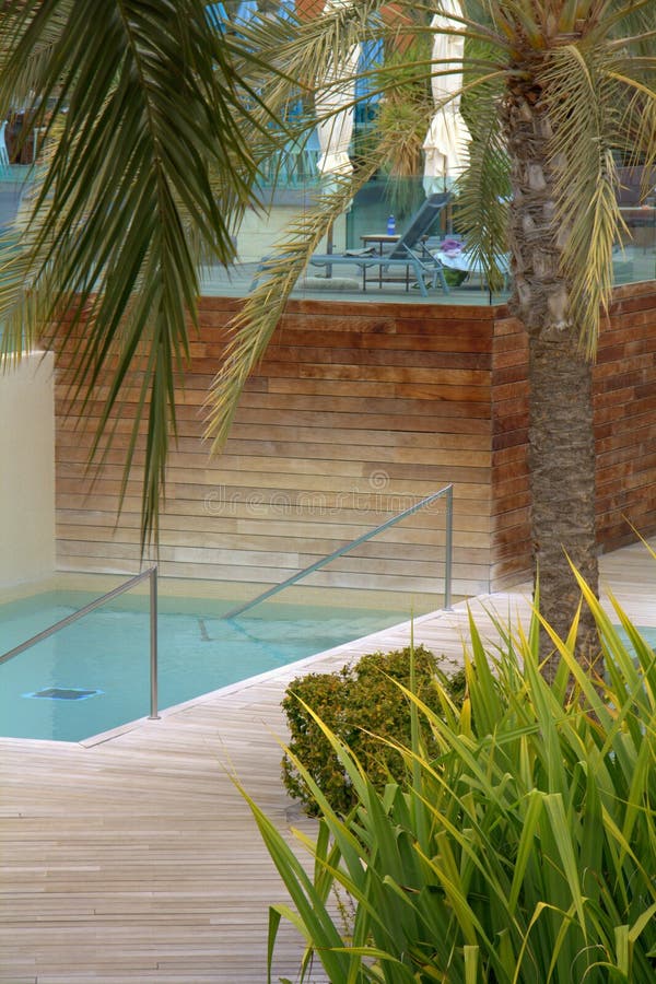 Tropical swimming pool stock photo. Image of recreational - 23350430