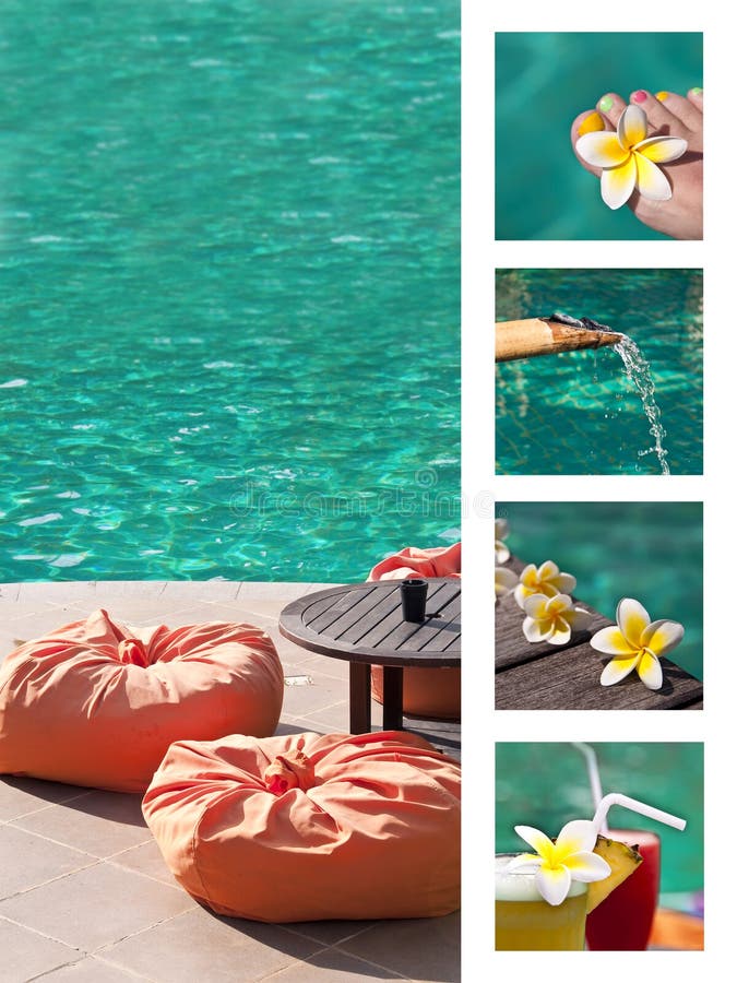 Tropical swimming pool stock image. Image of plumeria - 69835711