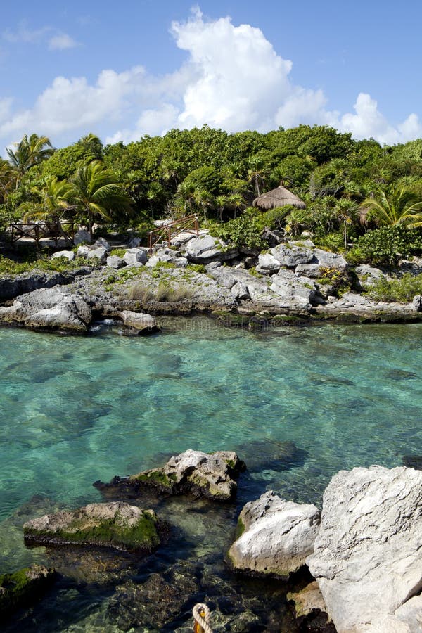 Tropical Swimming Pool stock photo. Image of travel, ocean - 22080322
