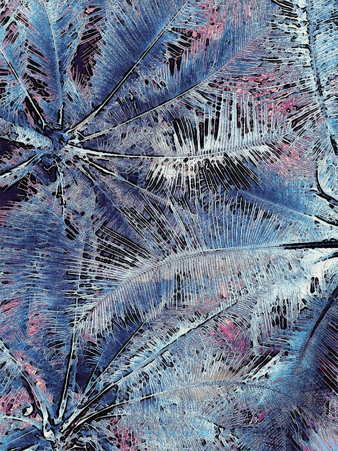Tropical Synthwave Palm Trees Stock Image - Image of winter, tree ... Tropical Synthwave Palm Trees Stock Image - Image of winter, tree ...