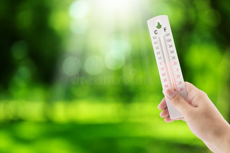 The Tropical Temperature Holding Hand on Nature Background. Stock Image ...