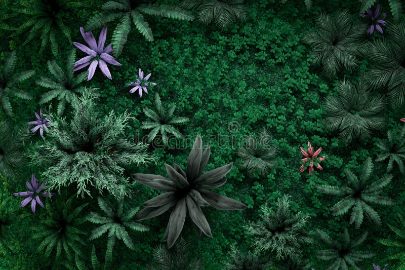 Tropical Texture in Garden, Abstract Green Leaf, Large Palm Foliage ...