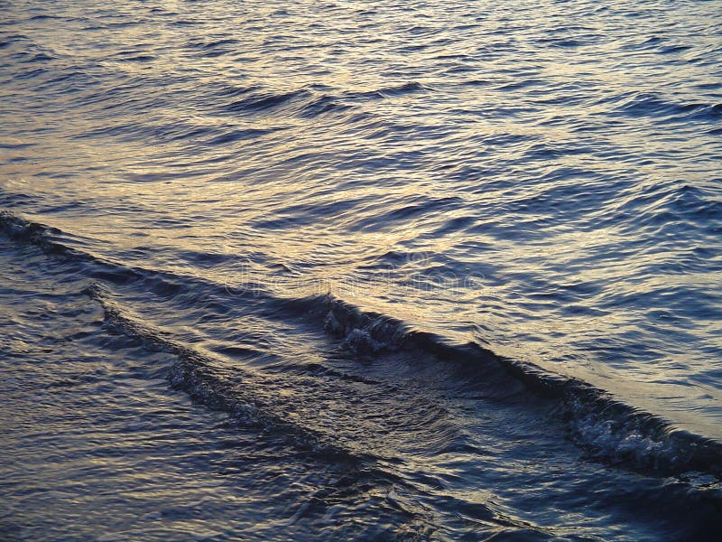 Tropical Tide stock image. Image of liquid, ocean, blue - 165385