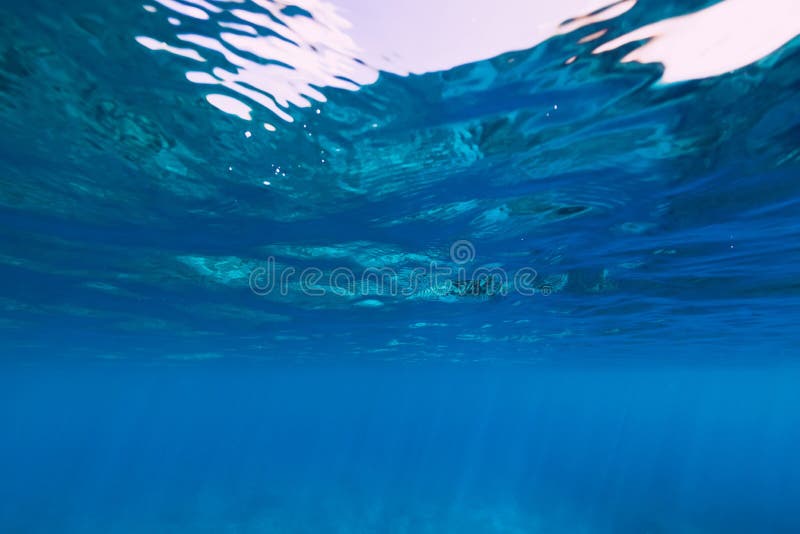 Tropical Transparent Sea Underwater in Tropics Stock Photo - Image of ...