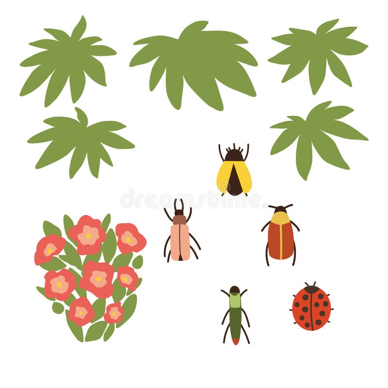 Tropical Tree Leaves, Red Flowers and Beetles Isolated on White ...