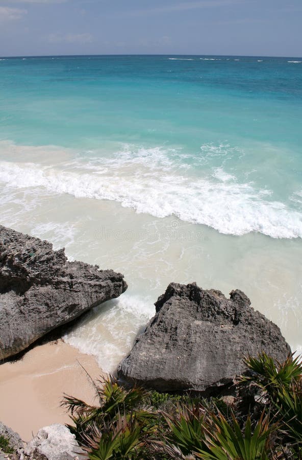 Tropical Turquoise Beach stock photo. Image of copyspace - 5217164