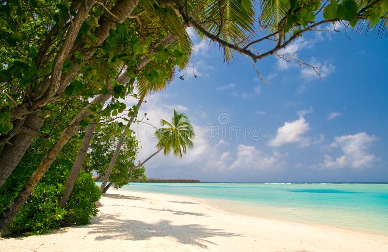 4,669 Tropical Unspoilt Beach Stock Photos - Free & Royalty-Free Stock ...