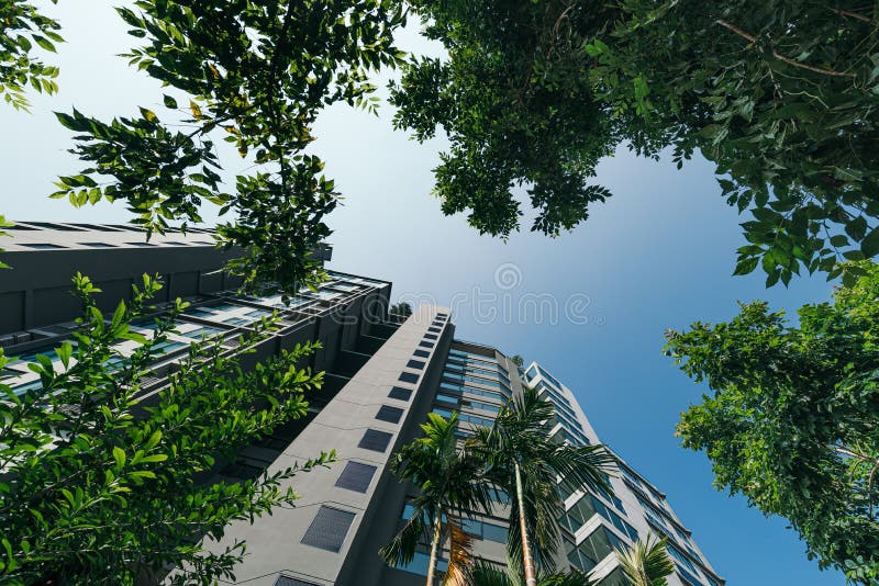 An Urban Tropical Garden In Saigon, Vietnam Stock Image - Image of ...