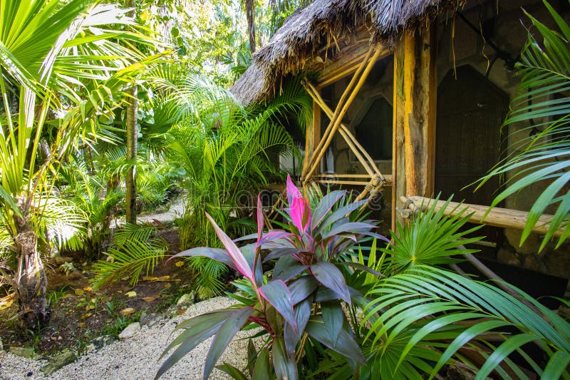 Tropical Vacation Home Getaway in the Rainforest Stock Photo - Image of ...