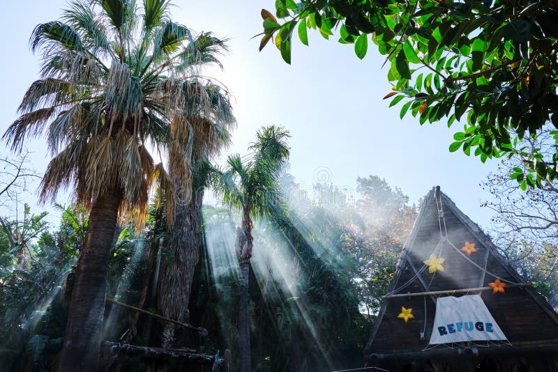 Tropical Vacations are Enjoyed by the Good Weather among the Leafy Palm ...