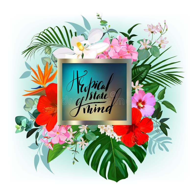 Tropical Vector Design of Greeting Card with Hibiscus Stock Vector ...