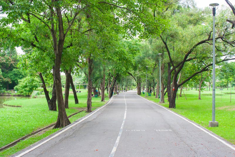 Tropical View Empty Footpath or Walkway Along Side with Green Trees in ...