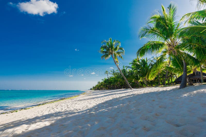 Tropical View of Luxury Beach on Mauritius Island Stock Image - Image ...