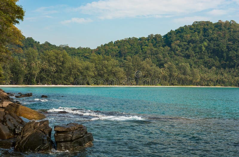 Tropical View on the Ocean and Forest Stock Image - Image of south ...