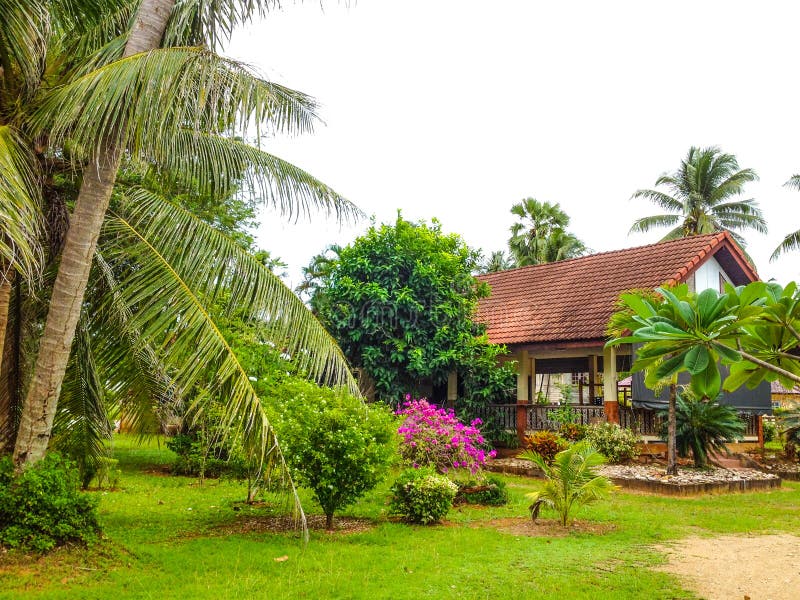 Bungalow in palm trees stock photo. Image of wooden, traditional - 17144474