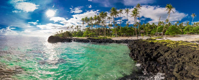 Tropical Volcanic Beach on Samoa Island with Many Palm Trees Stock ...