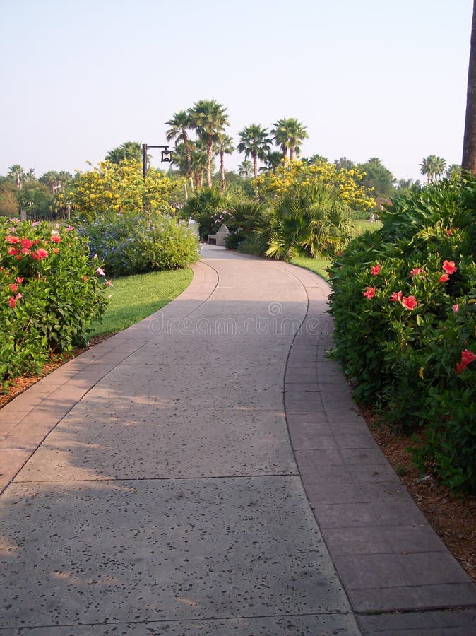 Walking Path York River State Park Virginia Stock Photo - Image of root ...
