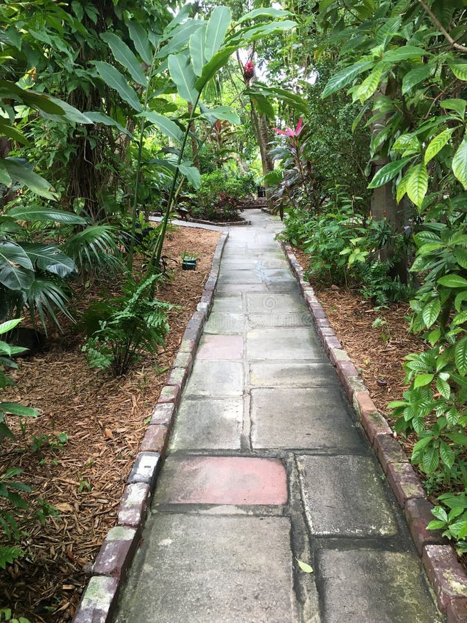 Tropical Walkway stock photo. Image of florida, journey - 68489934