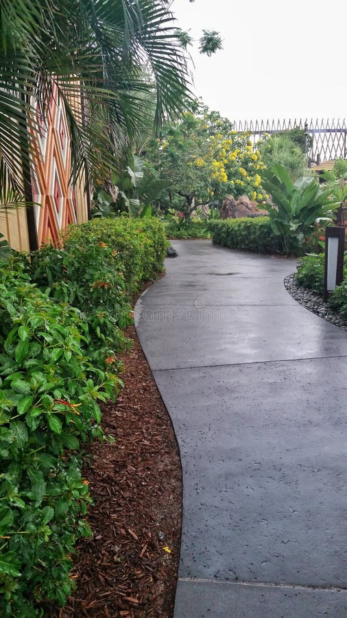 Tropical Walkway stock photo. Image of florida, journey - 68489934