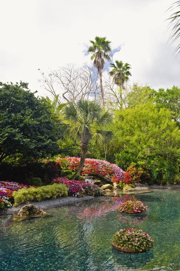 Flowers around pond stock image. Image of idyllic, colours - 5010627