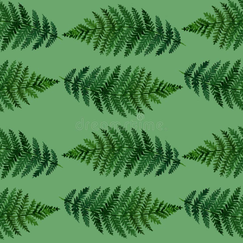 Tropical Watercolor Abstract Pattern with Fern Leaves Stock ...