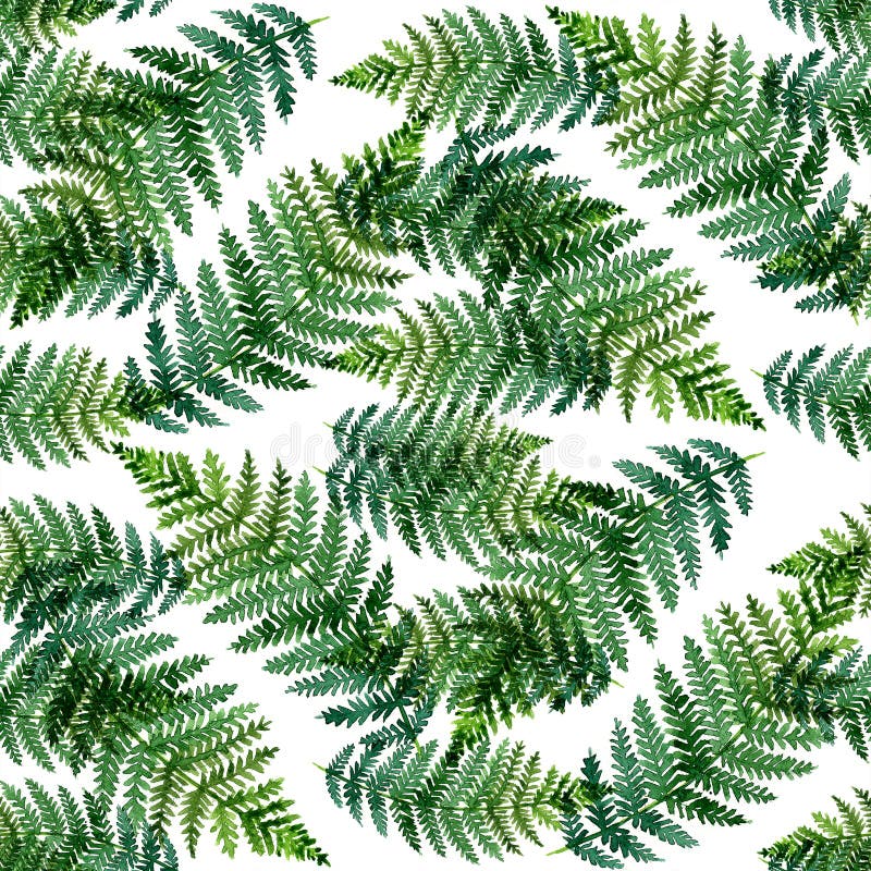 Tropical Watercolor Abstract Pattern with Fern Leaves Stock ...