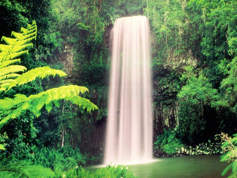 Tropical Waterfall stock photo. Image of tropical, river - 1981696