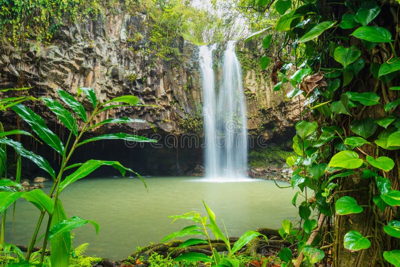 Tropical Waterfall stock image. Image of cascade, rain - 27229609