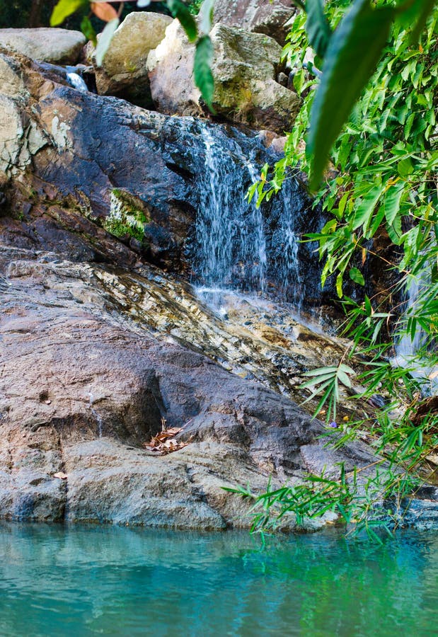 Tropical Waterfall in Rain Forest Stock Photo - Image of water, scenery ...