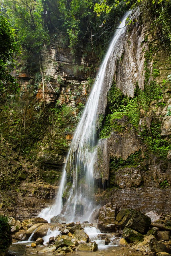 Tropical Waterfall at Xilitla Ruins Stock Image - Image of water ...